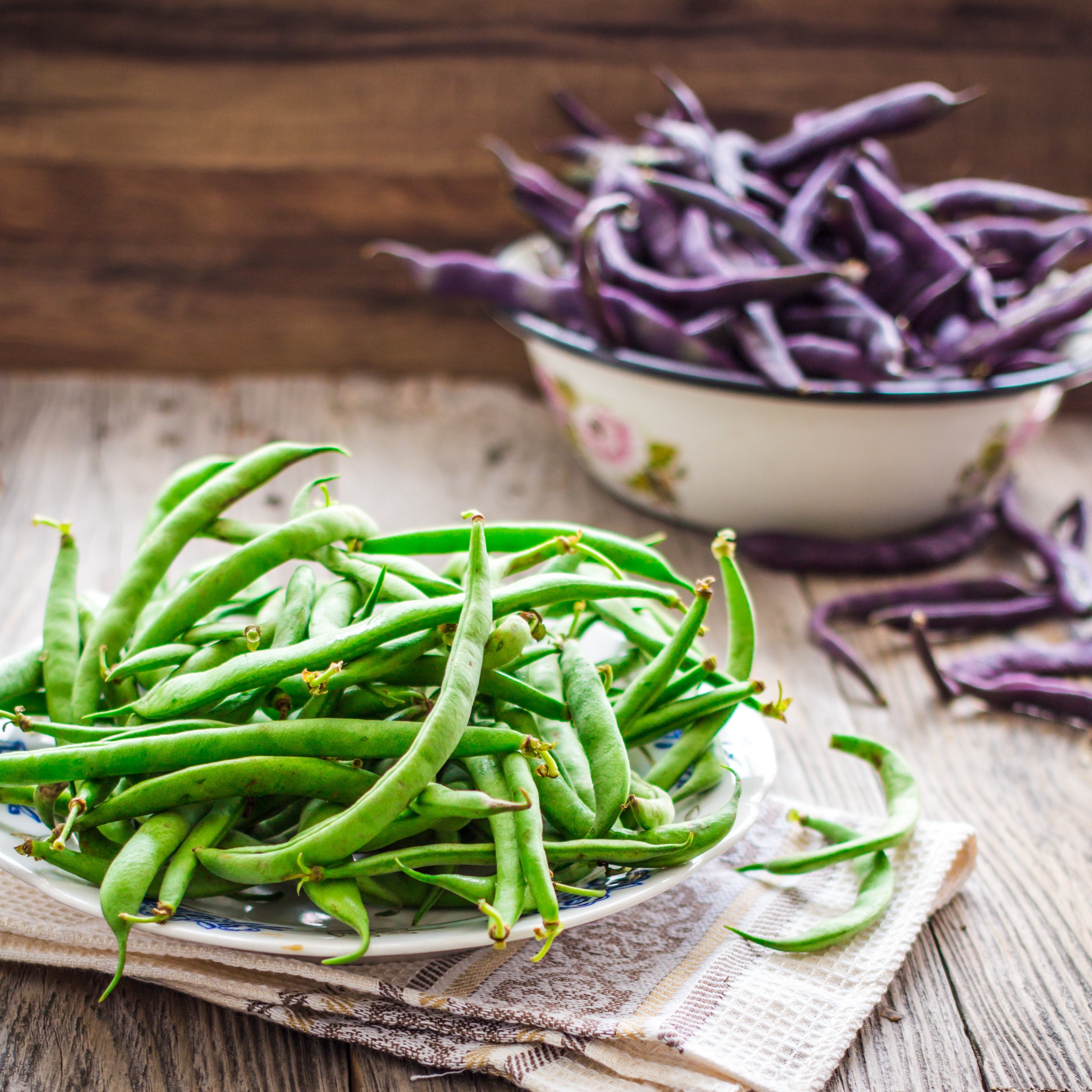 Bean Seeds | Shop 38 Varieties | Eden Brothers