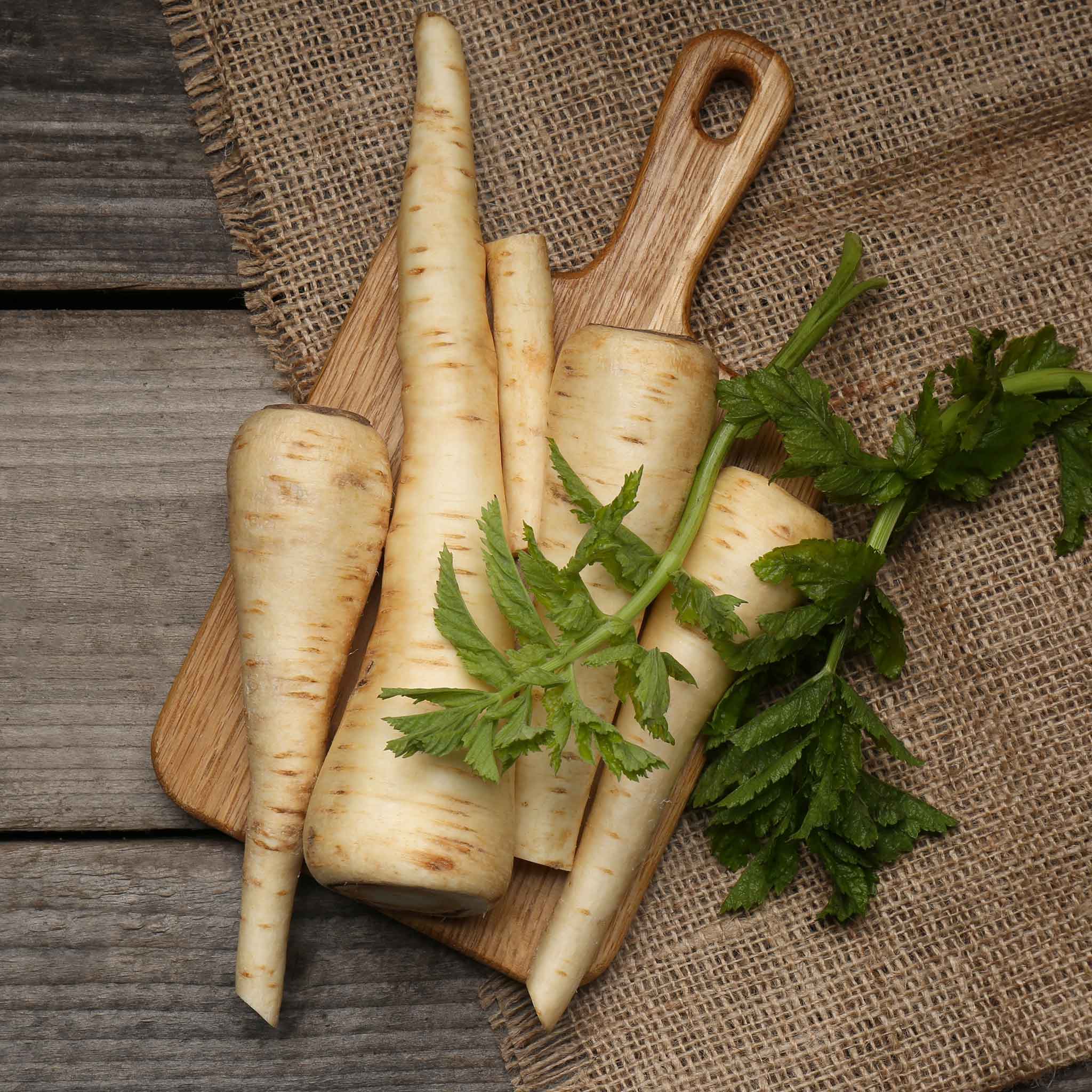 Parsnip Seeds (Heirloom) | Shop 3 Varieties | Eden Brothers