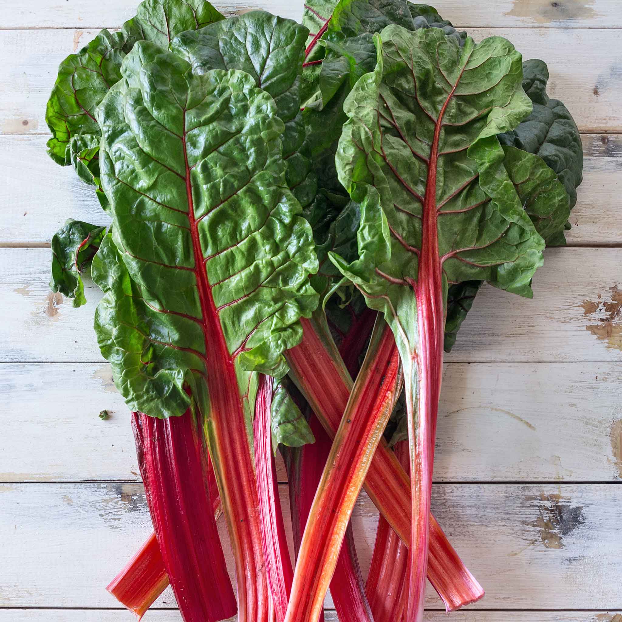 Swiss Chard Seeds | Shop 9 Varieties | Eden Brothers