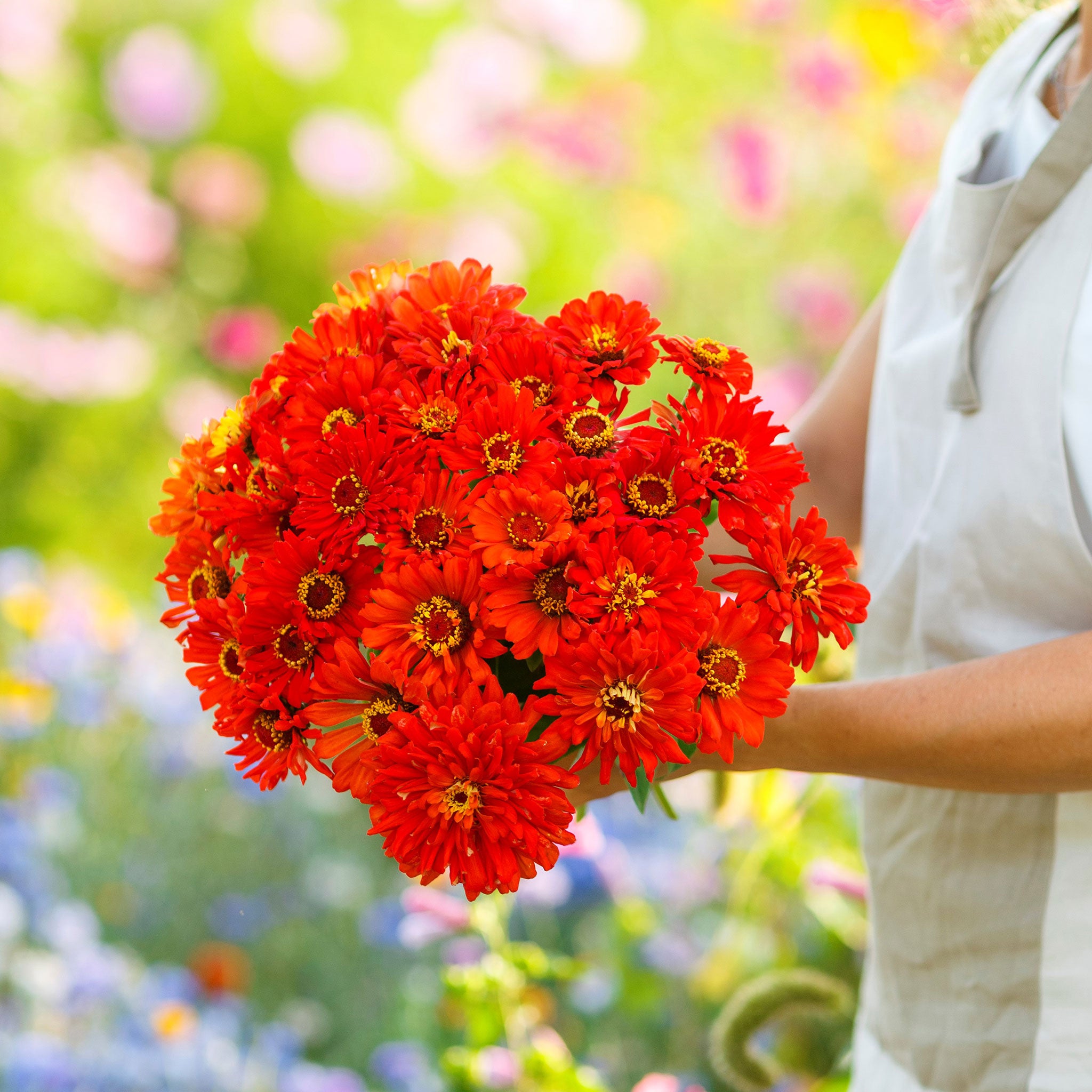 Identify Garden Flowers By Color Color Your Garden – Garden Gate