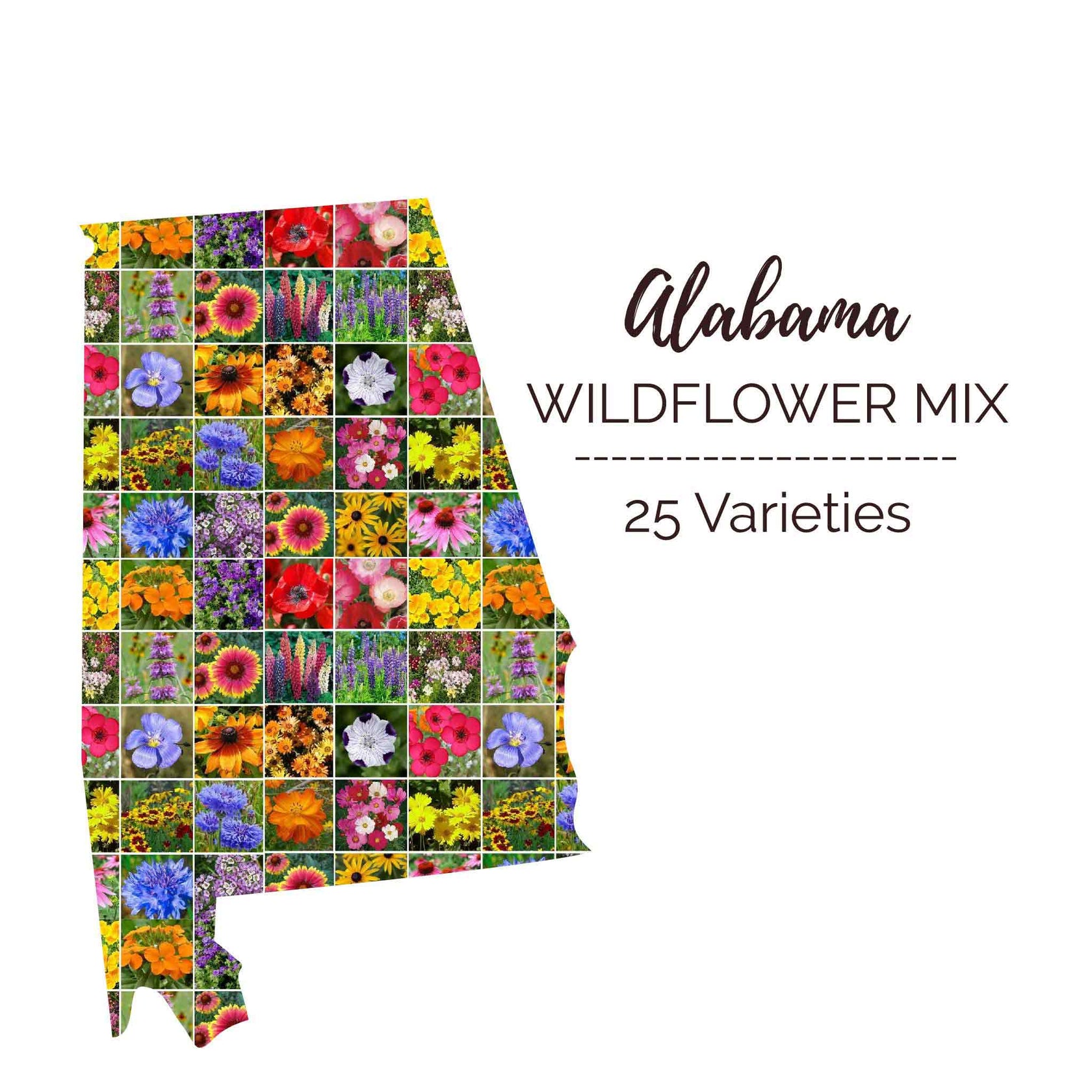 Alabama Wildflower Seed Mix | Wildflower Seeds | Eden Brothers