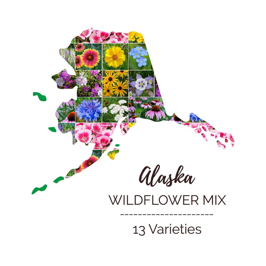 Alaska Wildflower Seed Mix | Wildflower Seeds | Eden Brothers