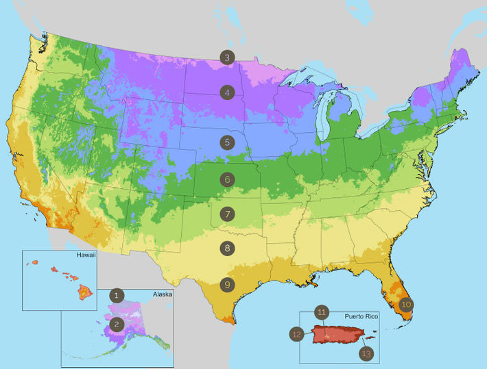 USDA Zone Map – Eden Brothers