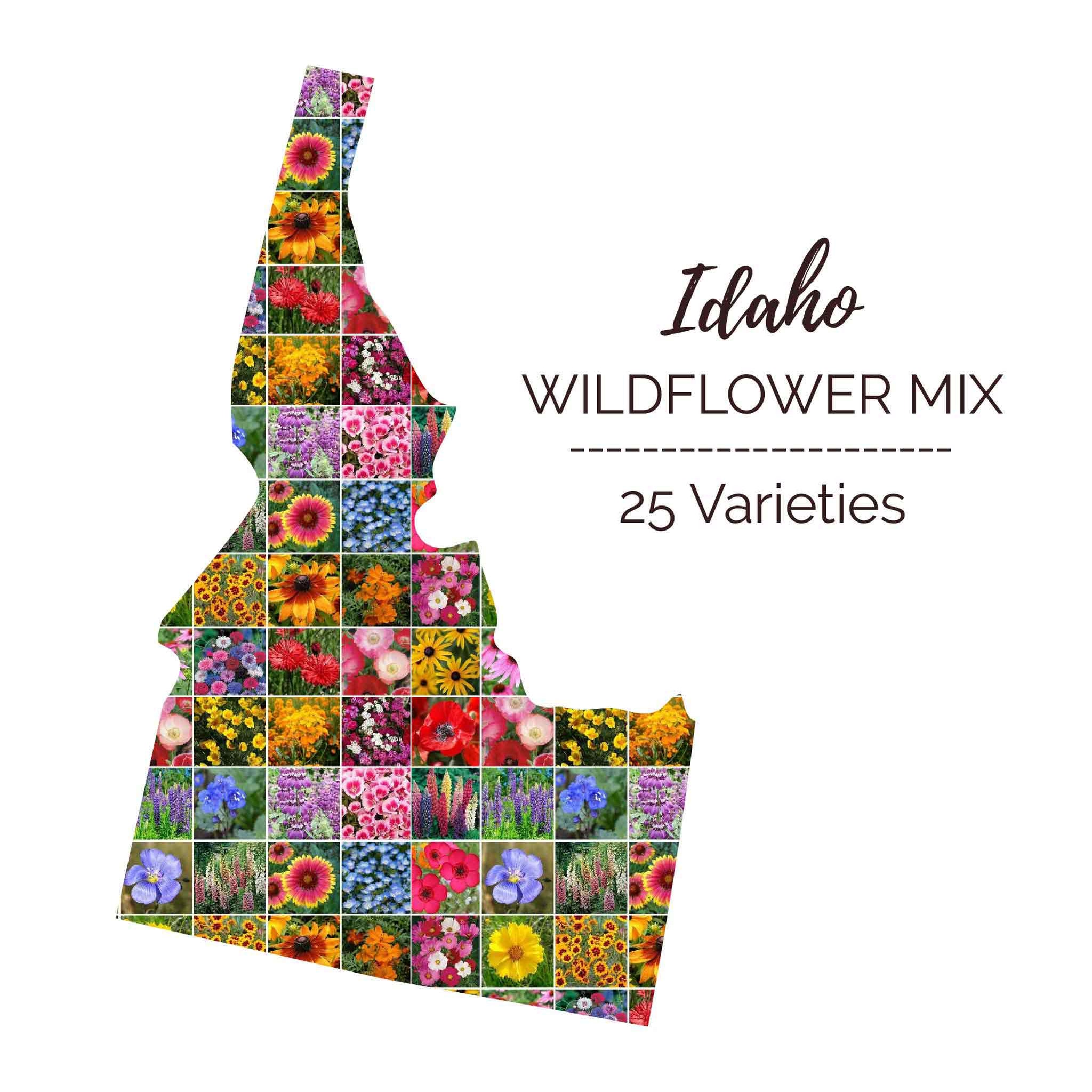 Idaho Wildflower Seed Mix | Wildflower Seeds | Eden Brothers