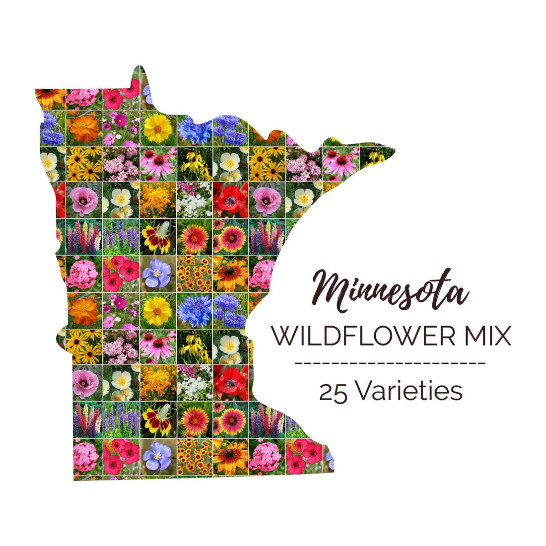 Minnesota Wildflower Seed Mix | Wildflower Seeds | Eden Brothers