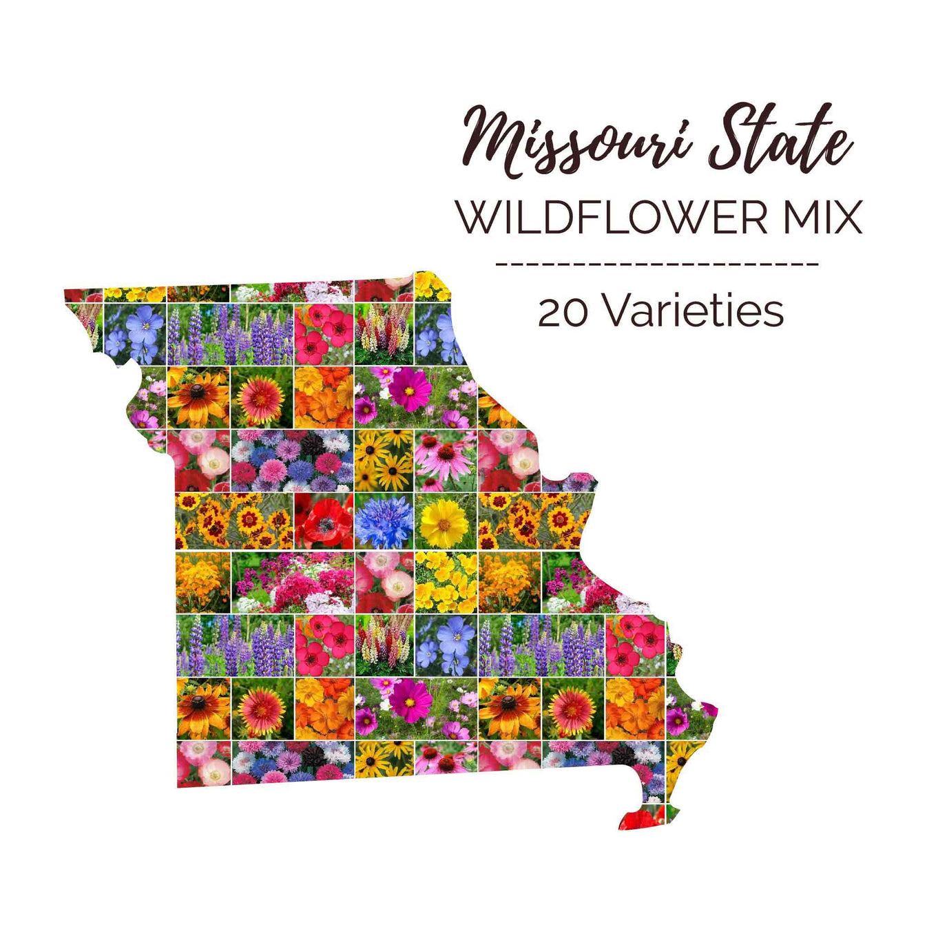 Missouri Wildflower Seed Mix | Eden Brothers