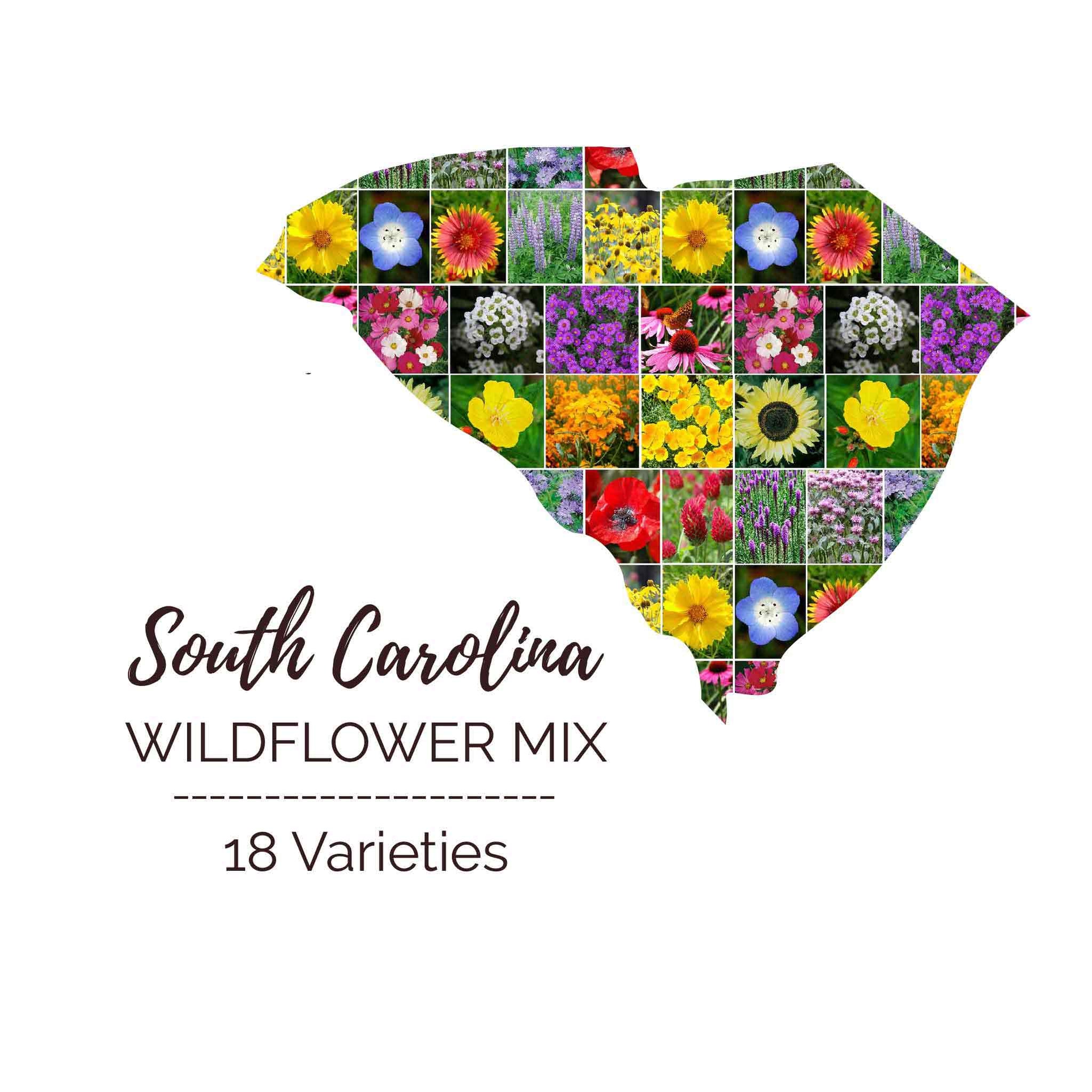 South Carolina Wildflower Seed Mix | Wildflower Seeds | Eden Brothers