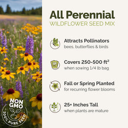 All Perennial Wildflower Seed Mix | Wildflower Seeds | Eden Brothers