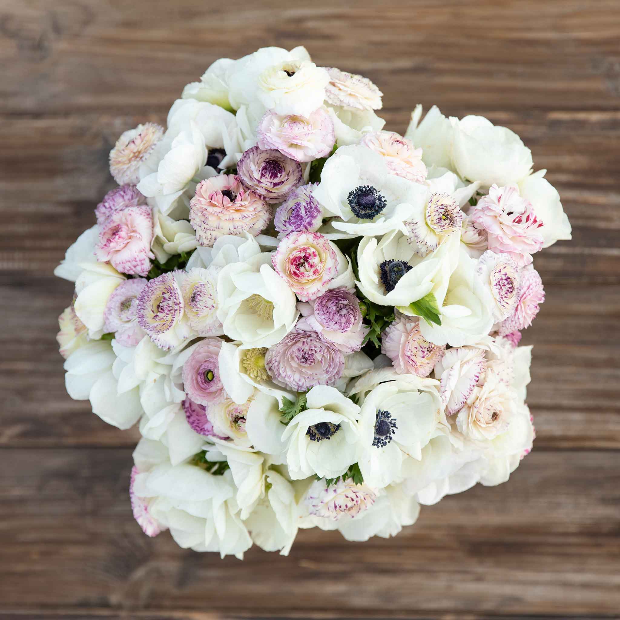 Anemone & Ranunculus - Alpine Mix | Fall Flower Bulbs | Eden Brothers