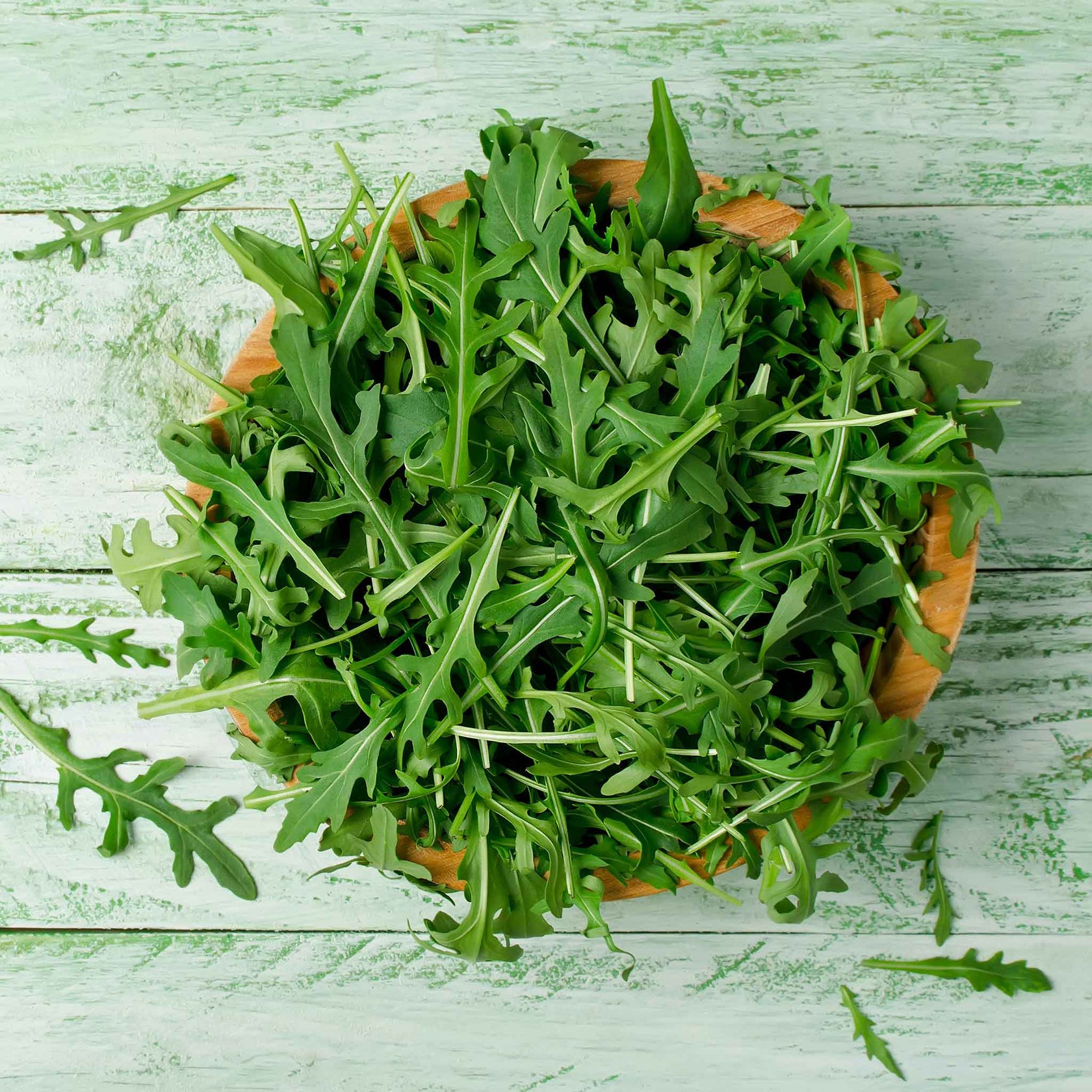 Arugula Seeds - Wild Rocket | Vegetable Seeds in Packets & Bulk | Eden ...