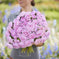 Aster Seeds (Peony Duchess) - Coral Rose | Flower Seeds in Packets ...