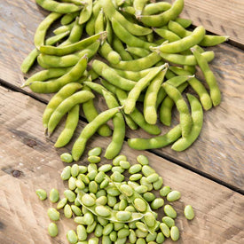 Bean Seeds | Shop 38 Varieties | Eden Brothers