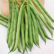 Bean Seeds | Shop 38 Varieties | Eden Brothers