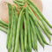 Bean Seeds - Landreth Stringless | Vegetable Seeds in Packets & Bulk ...