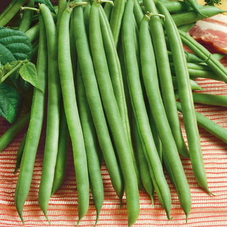 Bean Seeds | Shop 38 Varieties | Eden Brothers