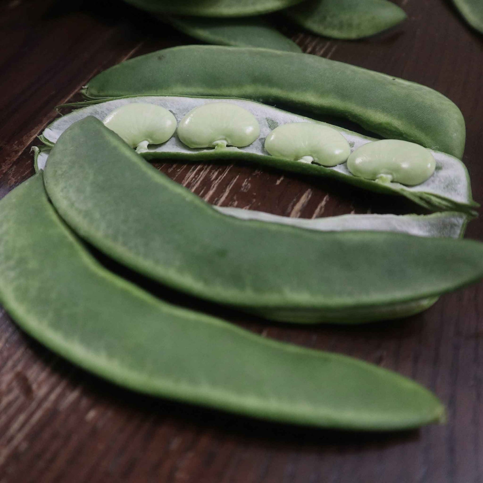 Bean Seeds - Burpee Improved | Vegetable Seeds in Packets & Bulk | Eden ...