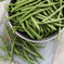 Bean Seeds - Tenderette | Vegetable Seeds in Packets & Bulk | Eden Brothers