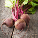 Beet Seeds - Lutz Green Leaf | Vegetable Seeds in Packets & Bulk | Eden ...