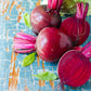 Beet Seeds - Ruby Queen | Vegetable Seeds in Packets & Bulk | Eden Brothers