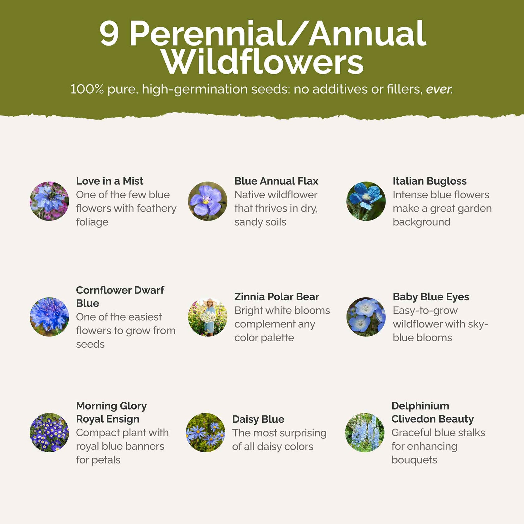 Blue Ribbon - Blue Flower Seed Mix | Flower Seeds | Eden Brothers