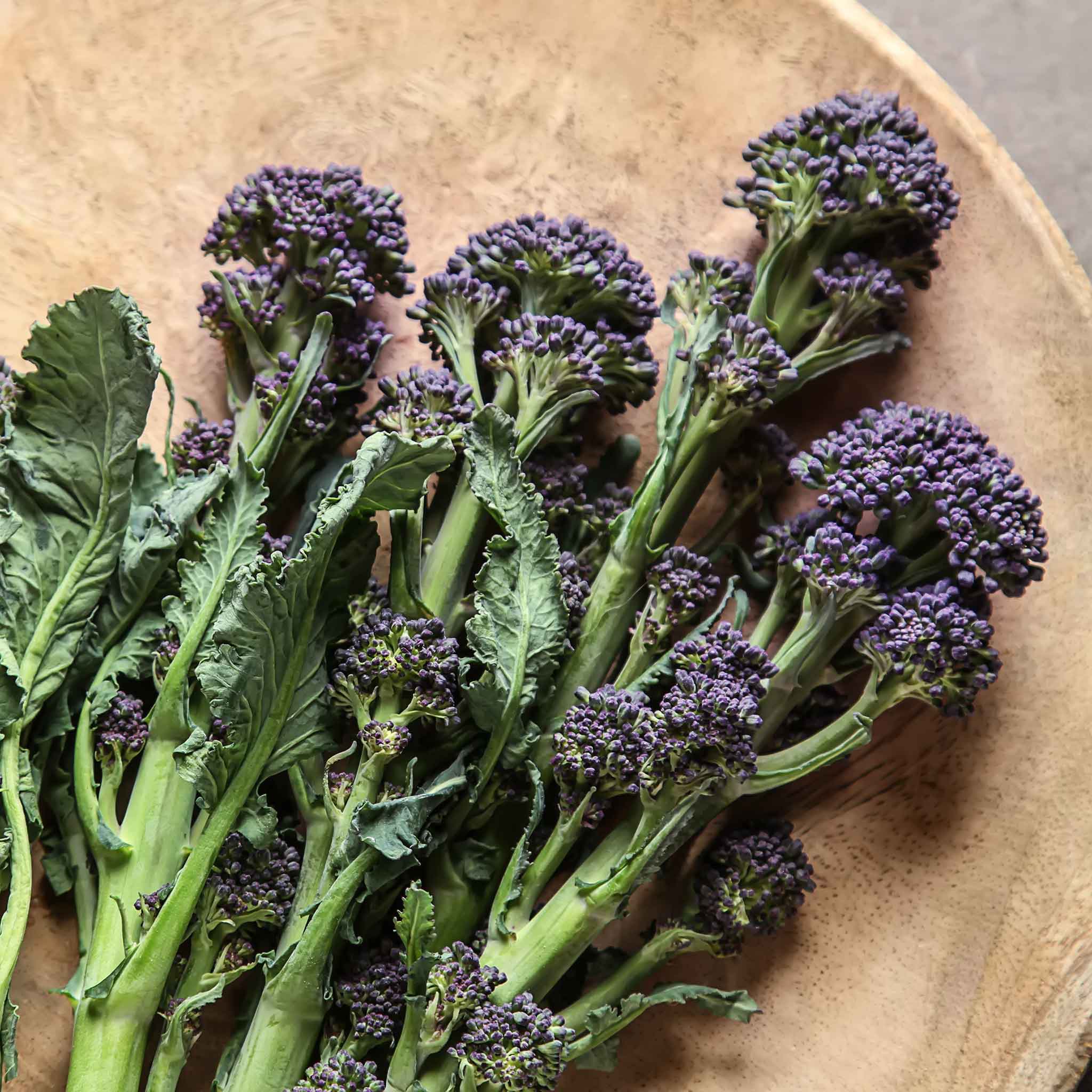 Broccoli Seeds - Purple Sprouting | Vegetable Seeds in Packets & Bulk ...