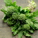 Broccoli-Raab Seeds - Spring Rapini | Vegetable Seeds in Packets & Bulk ...