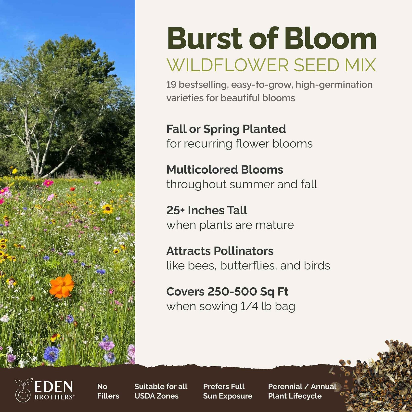 Burst Of Bloom Annual & Perennial Wildflower Seed Mix | Wildflower ...