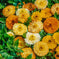Calendula Seeds - Fiesta Gitana | Flower Seeds in Packets & Bulk | Eden ...