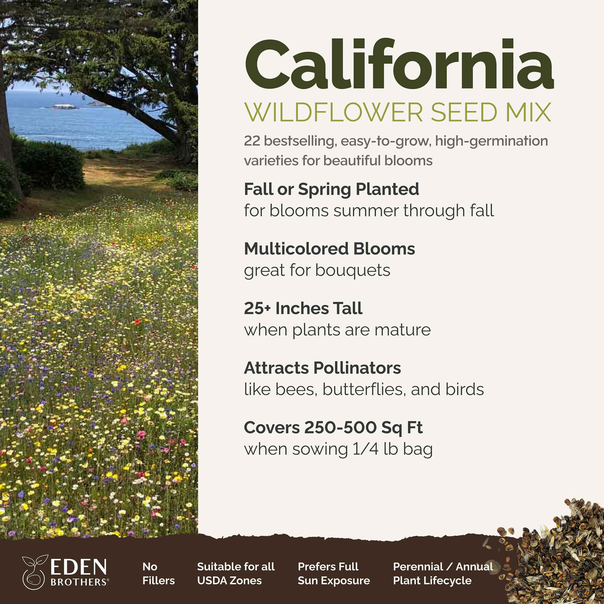 California Wildflower Seed Mix | Wildflower Seeds | Eden Brothers