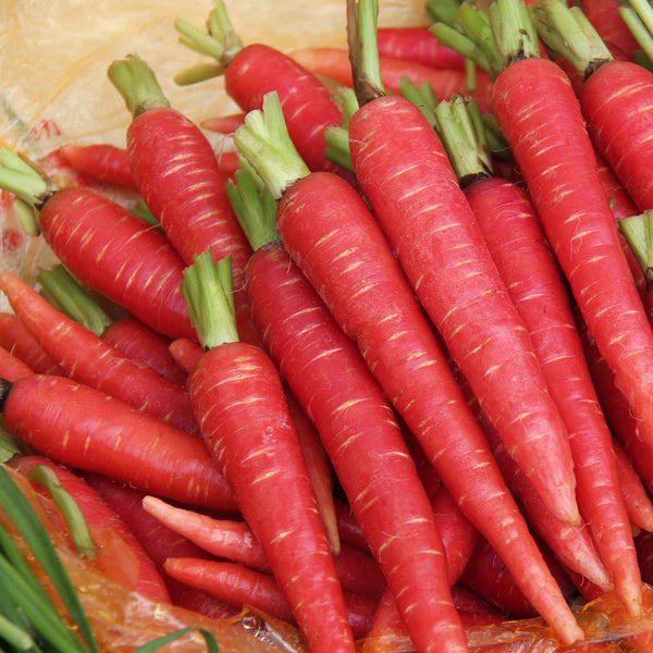Carrot Seeds - Atomic Red | Vegetable Seeds in Packets & Bulk | Eden ...