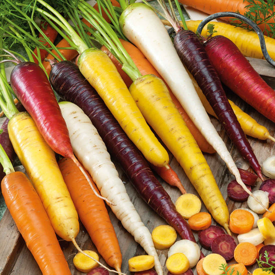 Organic Carrot Seeds - Rainbow Blend | Vegetable Seeds in Packets ...