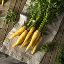 Carrot Seeds - Solar Yellow | Vegetable Seeds in Packets & Bulk | Eden ...