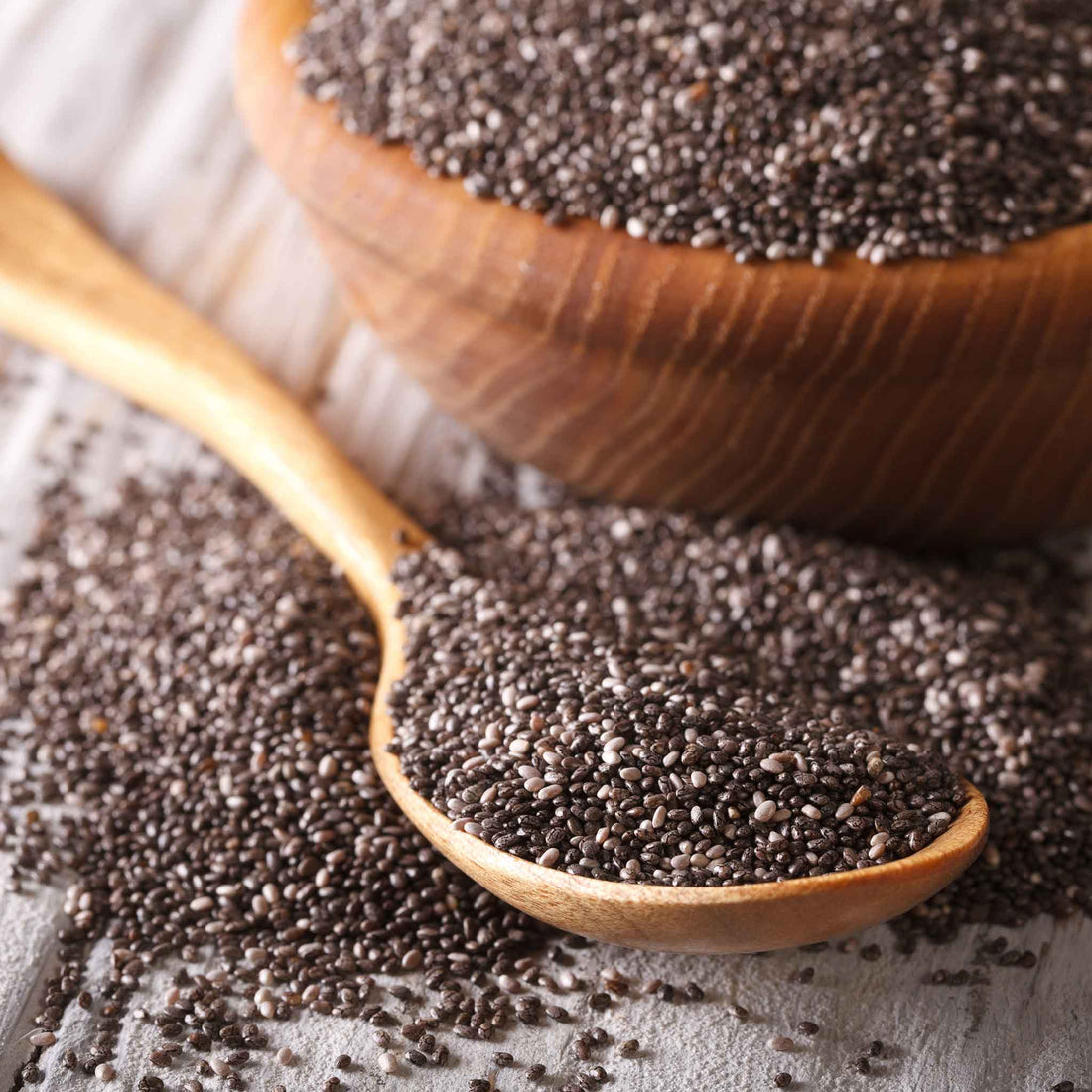 Chia Seeds | Herb Seeds in Packets & Bulk | Eden Brothers