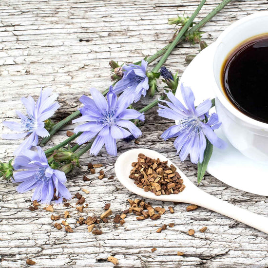 Chicory Seeds | Flower Seeds in Packets & Bulk | Eden Brothers