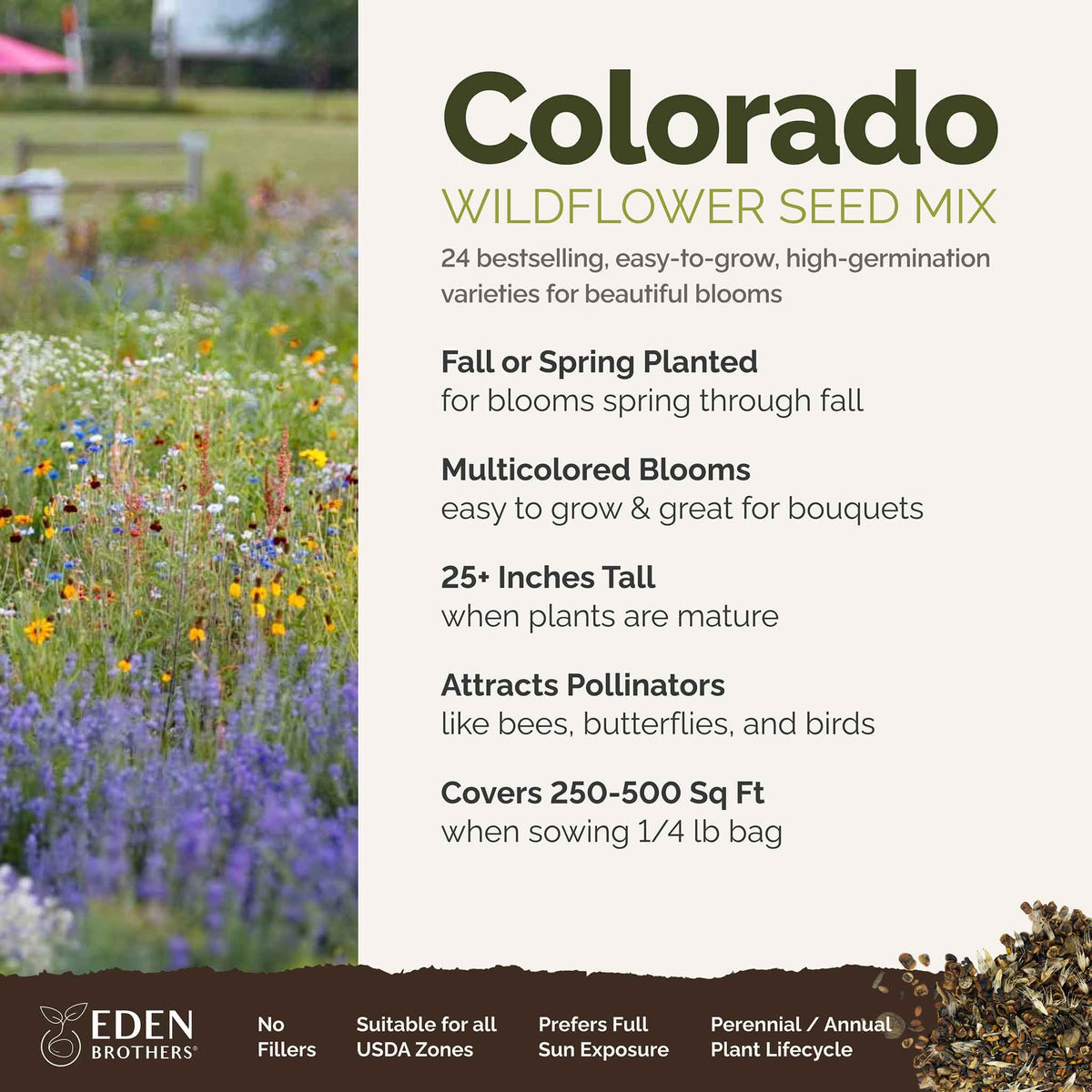 Colorado Wildflower Seed Mix | Wildflower Seeds | Eden Brothers