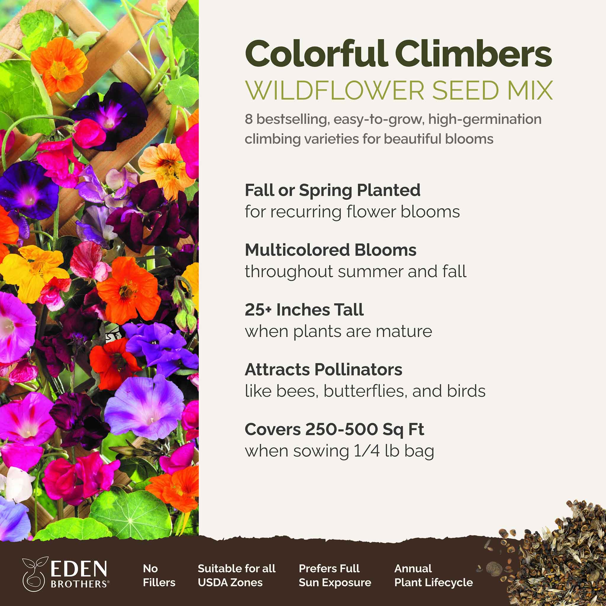 Colorful Climbers Flower Seed Mix | Flower Seeds | Eden Brothers