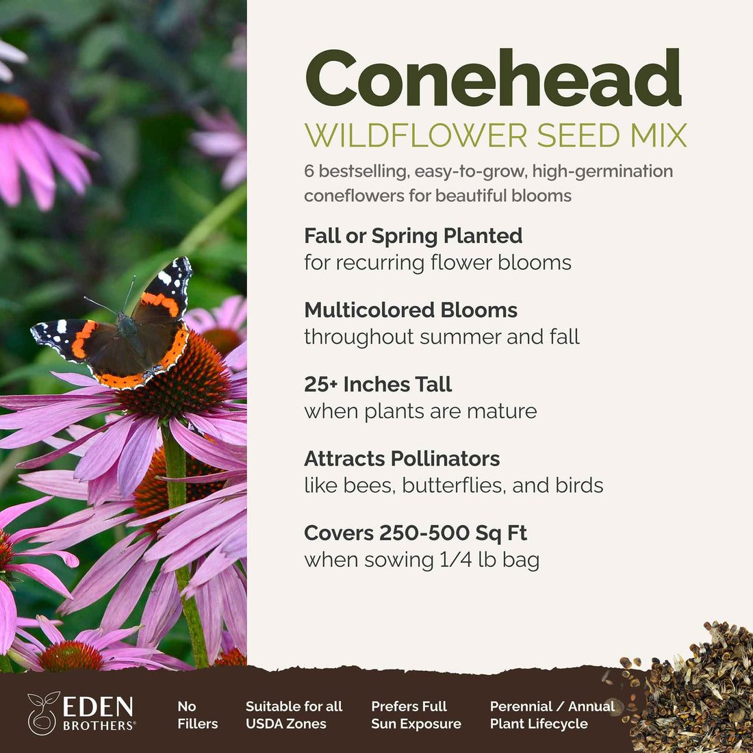Conehead - Coneflower Seed Mix | Wildflower Seeds | Eden Brothers