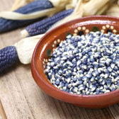 Corn Seeds - Blue Hopi | Vegetable Seeds in Packets & Bulk | Eden Brothers