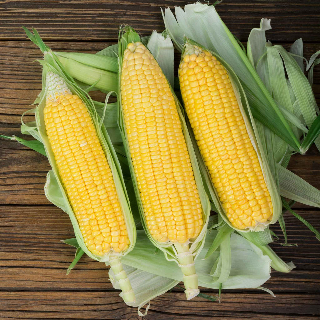 Corn Seeds - NK 199 | Vegetable Seeds in Packets & Bulk | Eden Brothers