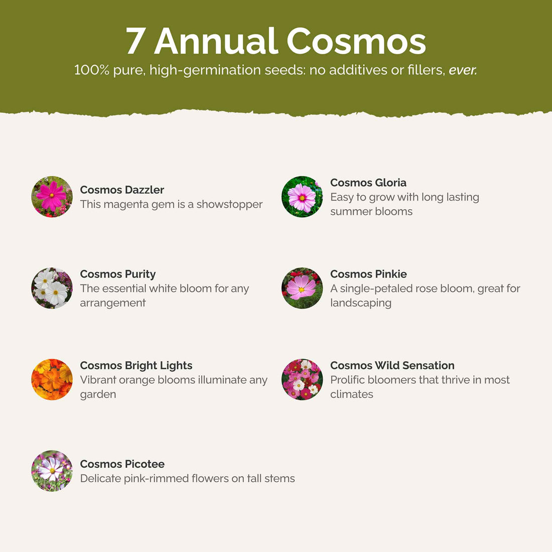 Crazy For Cosmos - Cosmos Flower Seed Mix | Wildflower Seeds | Eden ...