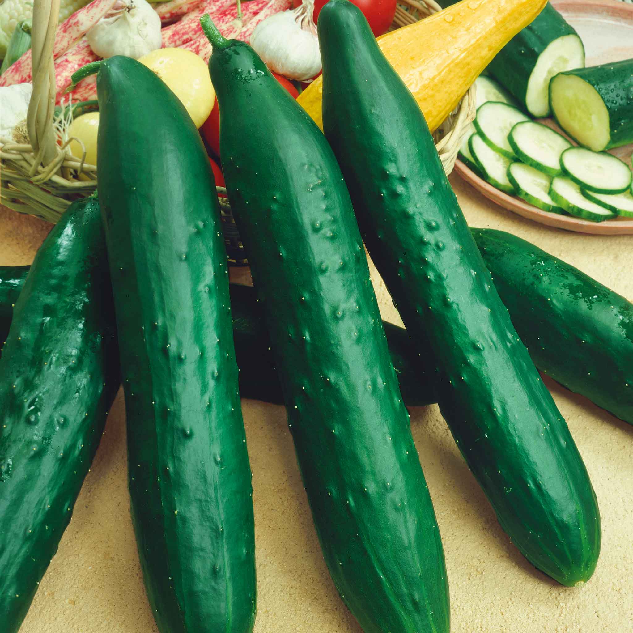 Cucumber Seeds - Sweet Success | Vegetable Seeds in Packets & Bulk ...