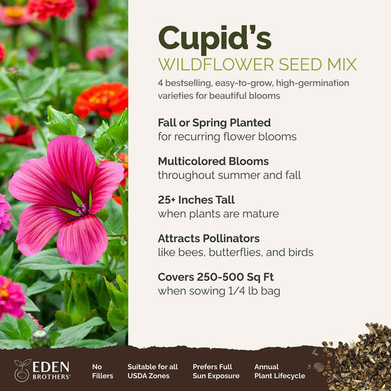 Cupid's Flower Seed Mix | Wildflower Seeds | Eden Brothers