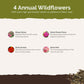 Cupid's Flower Seed Mix | Wildflower Seeds | Eden Brothers