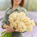 Daffodil Bulbs - British Gamble | Fall Flower Bulbs | Eden Brothers