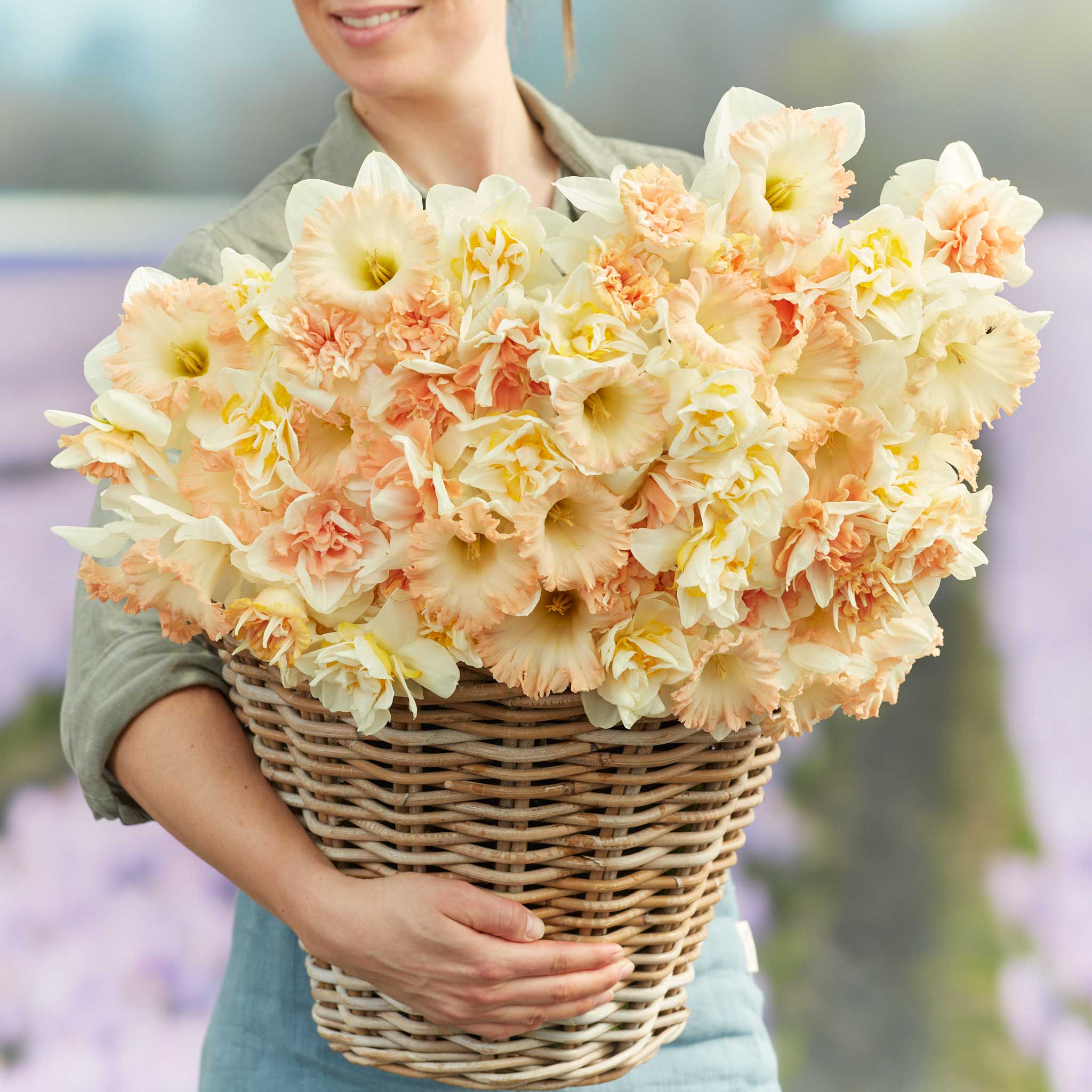 Daffodil Bulbs - Evelyn's Mix | Fall Flower Bulbs | Eden Brothers