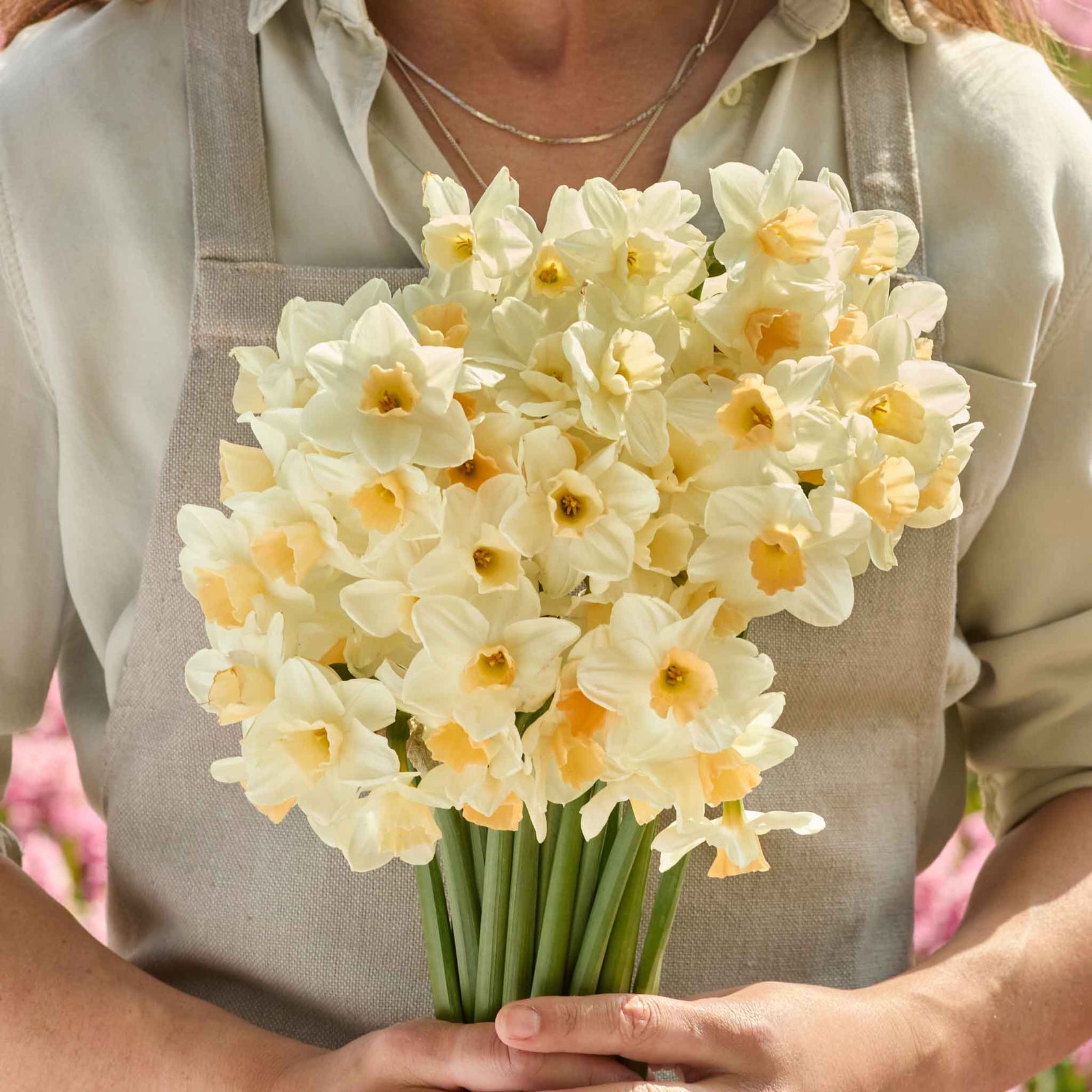 Daffodil Bulbs - Kapiti Peach | Fall Flower Bulbs | Eden Brothers