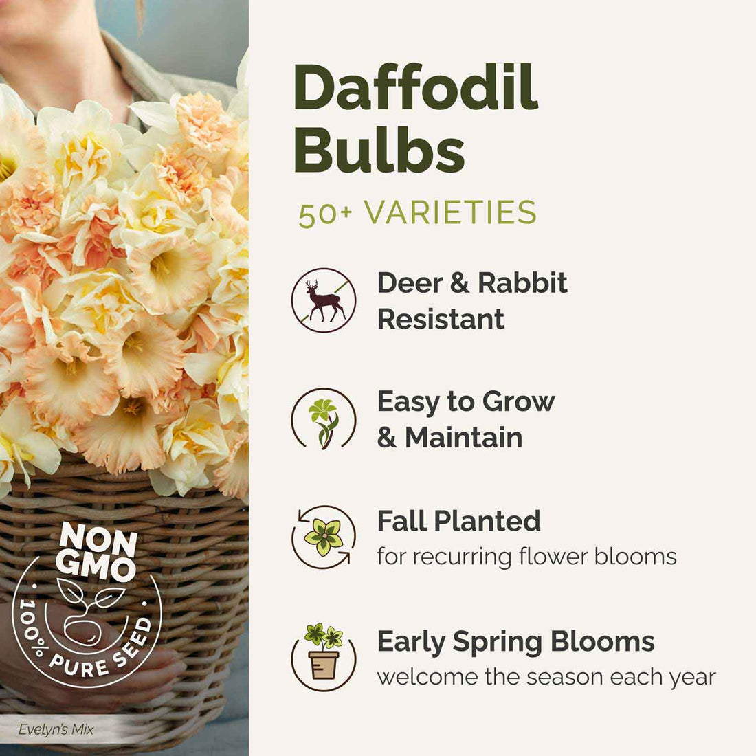 Daffodil Bulbs - Pretty in Pink Mix | Fall Flower Bulbs | Eden Brothers