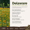 Delaware Wildflower Seed Mix | Wildflower Seeds | Eden Brothers