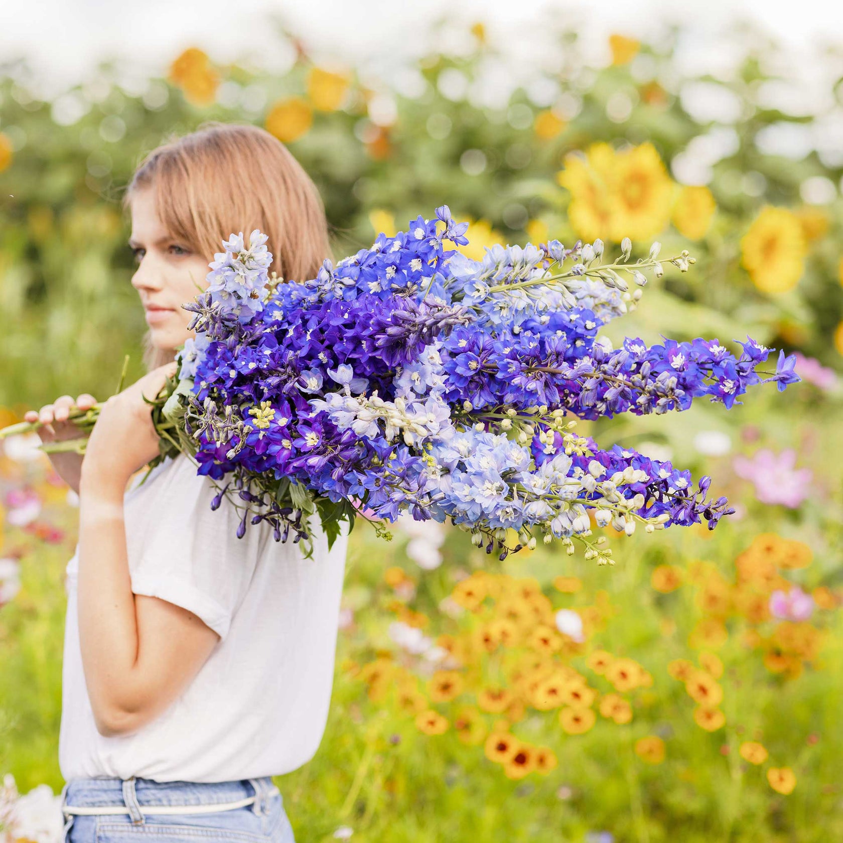 Delphinium Seeds - Pacific Mix | Flower Seeds in Packets & Bulk | Eden ...