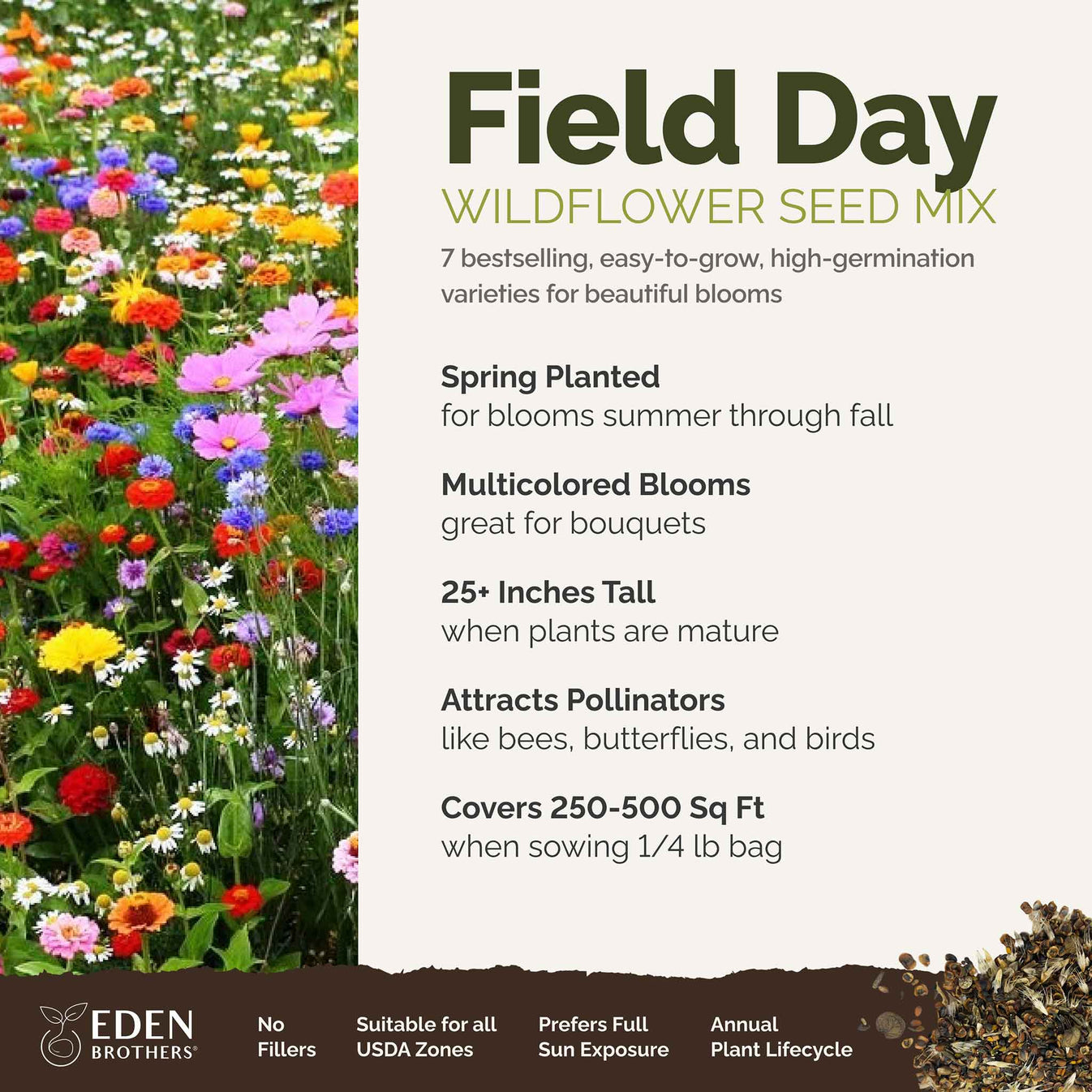 Field Day Flower Seed Mix | Flower Seeds | Eden Brothers